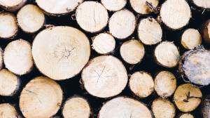 Use a wood chipper safety checklist - FREE PDF | Lumiform